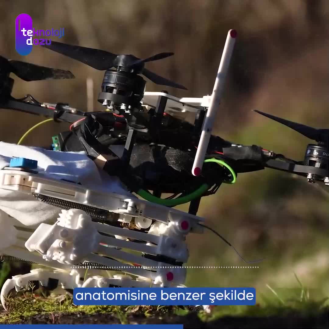 SNAG: Kuşların hareketlerini taklit eden yenilikçi robot